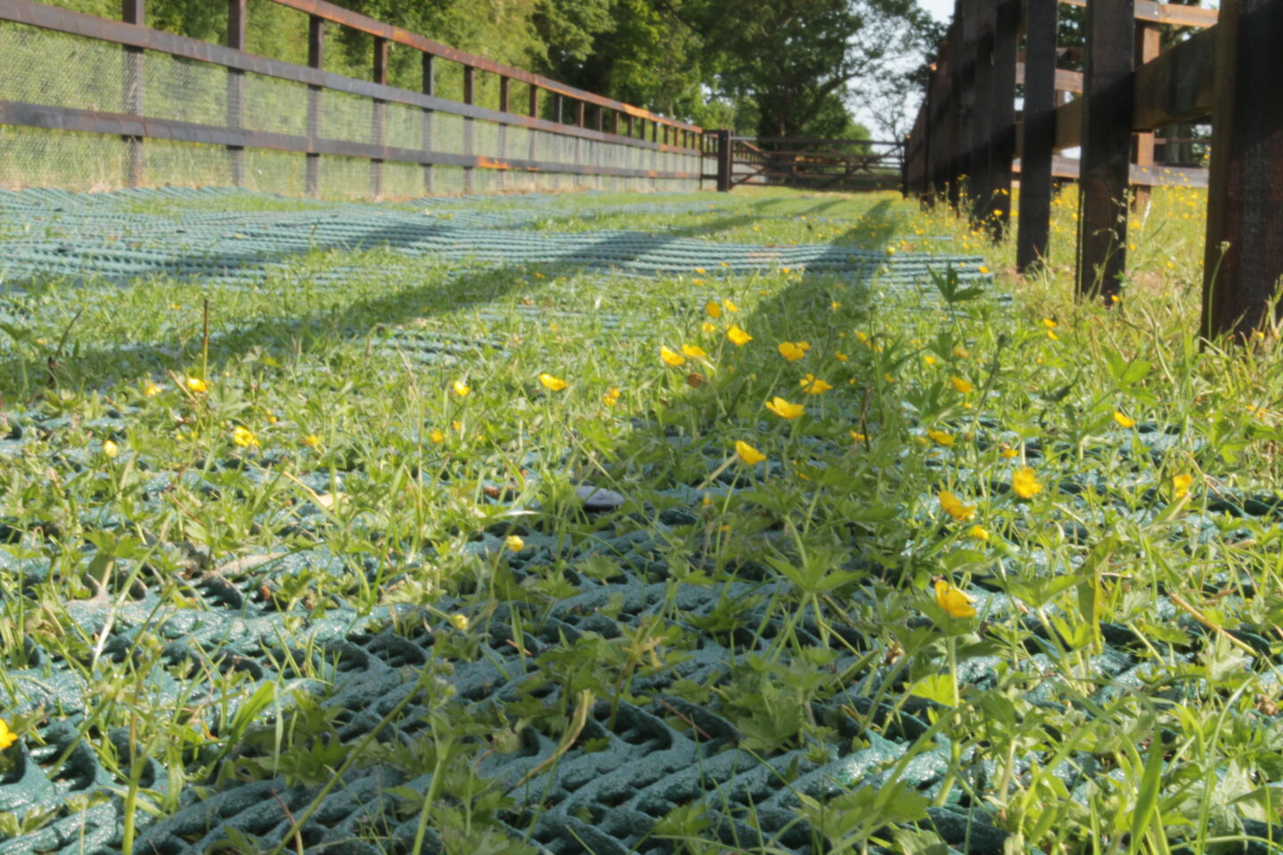 Heavy Duty Grass Protection Mesh - Horsemat